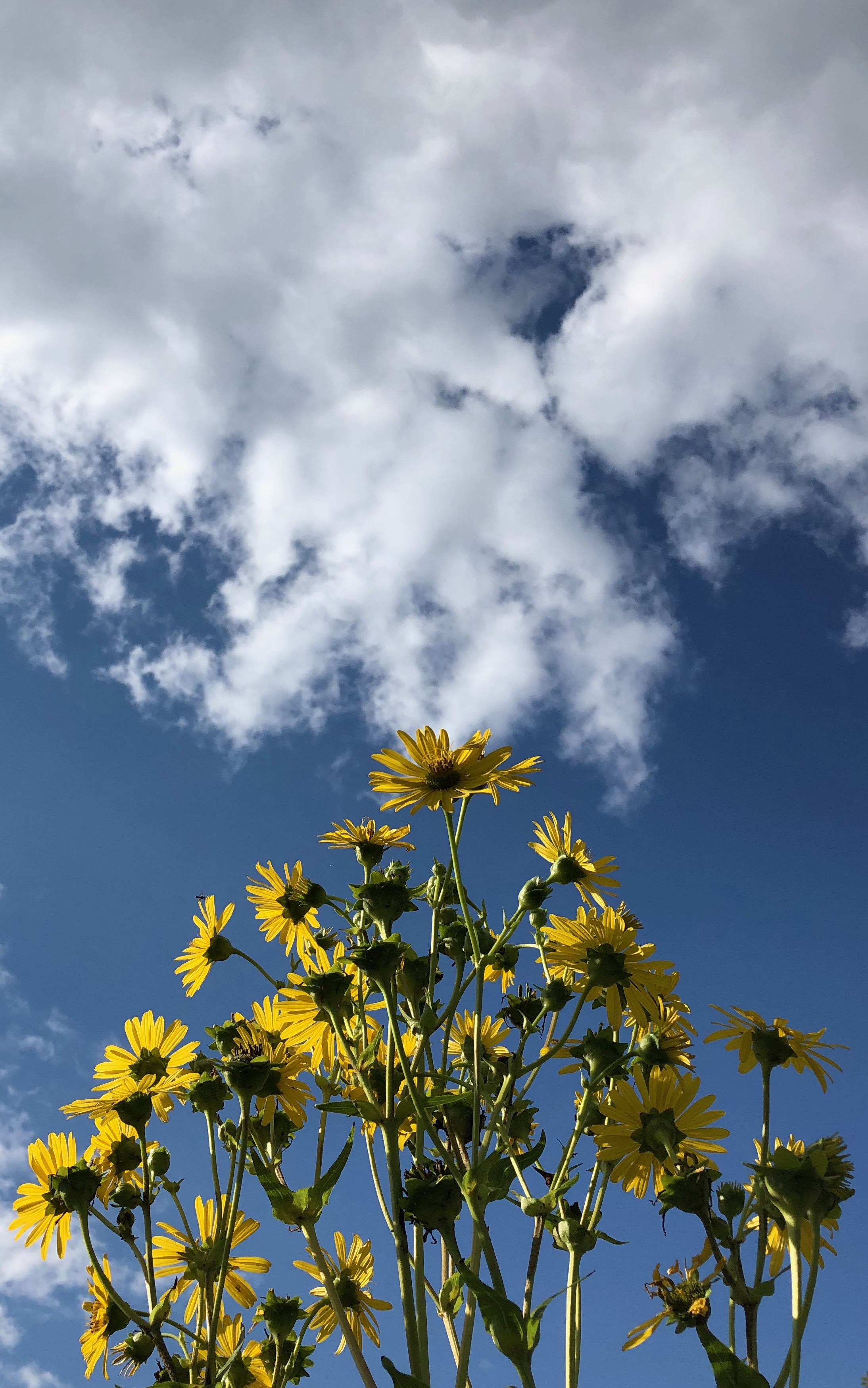 Be Kind | Kate McKinney