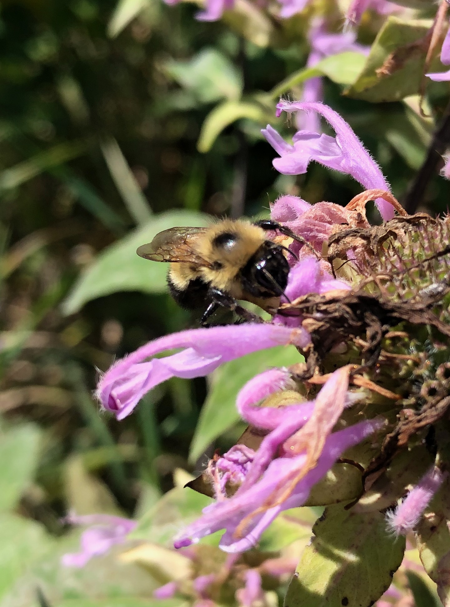 Drink Up the Last of Summer | Kate McKinney